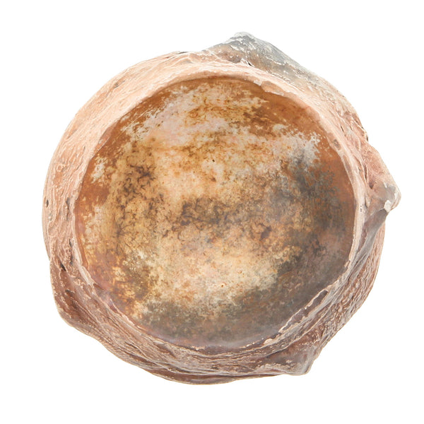 Shikha Joshi, Solo Show, Summer 2024 – CLAYAKAR